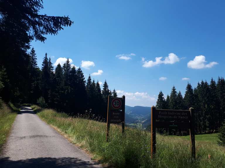 Le Collet-Le Valtin-Col du Louchpach-Col du Calvaire: Rennradfahren und ...