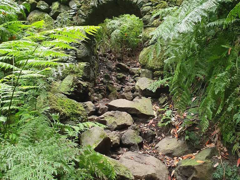 Cubo de la Galga – circular route | hike | Komoot