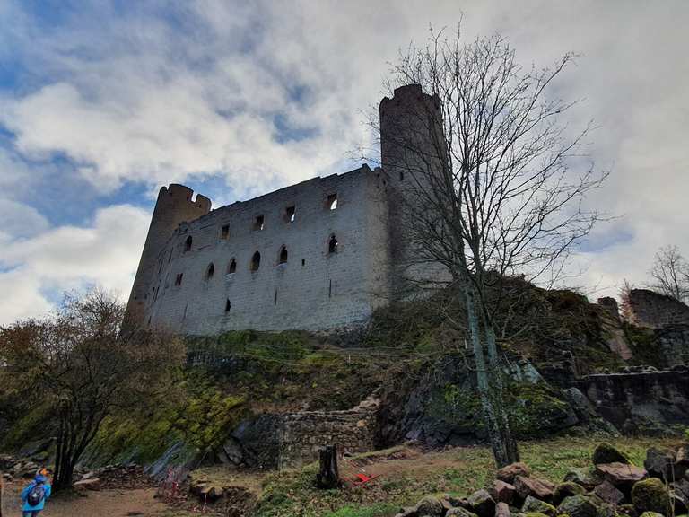 Château d'Andlau - Itinéraires de rando et marche | Komoot
