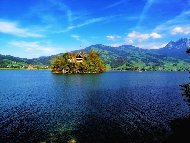 Insel Schwanau - Mountain Bike Trails & Tracks | Komoot