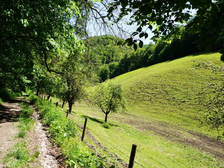 Anstieg durchs Autal bei Wiesensteig zum Ziegelhof: Wanderungen und ...
