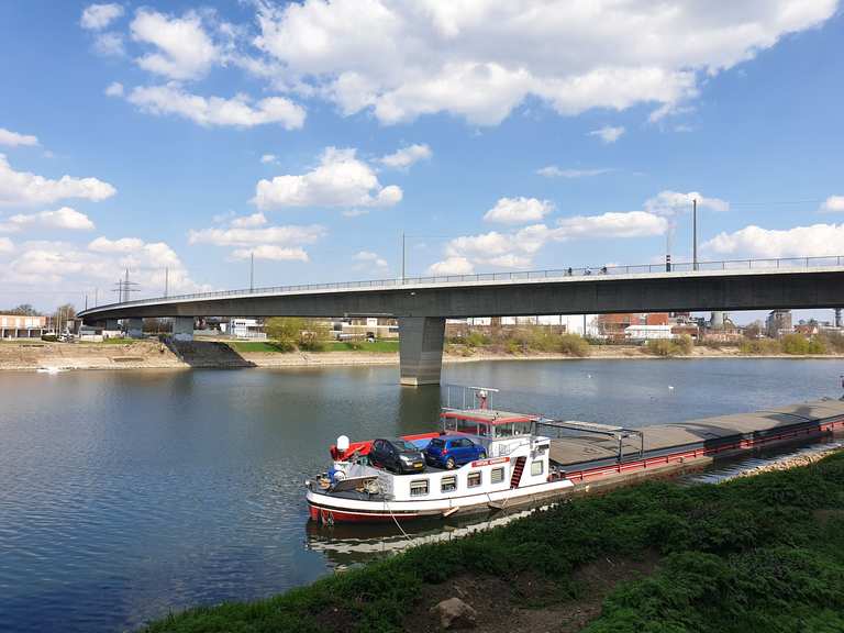 Altrheinbrücke Sandhofen / Mannheim 🚴‍♂️ Road Cycle Routes and Map | Komoot