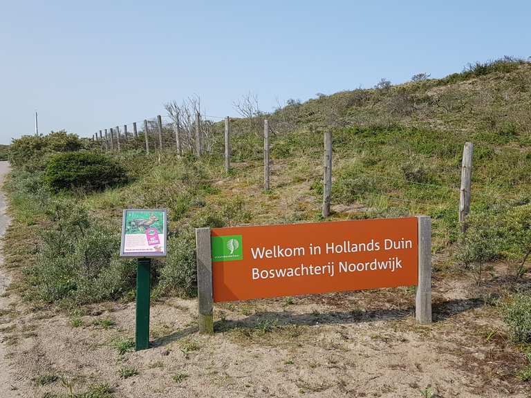 Mooi fietspad door de duinen Cycle Routes and Map | Komoot