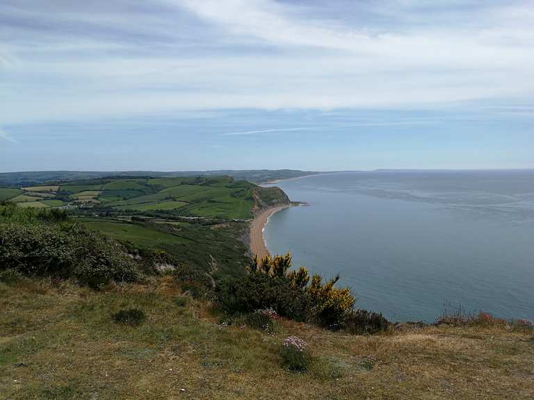 Golden Cap Routes for Walking and Hiking | Komoot