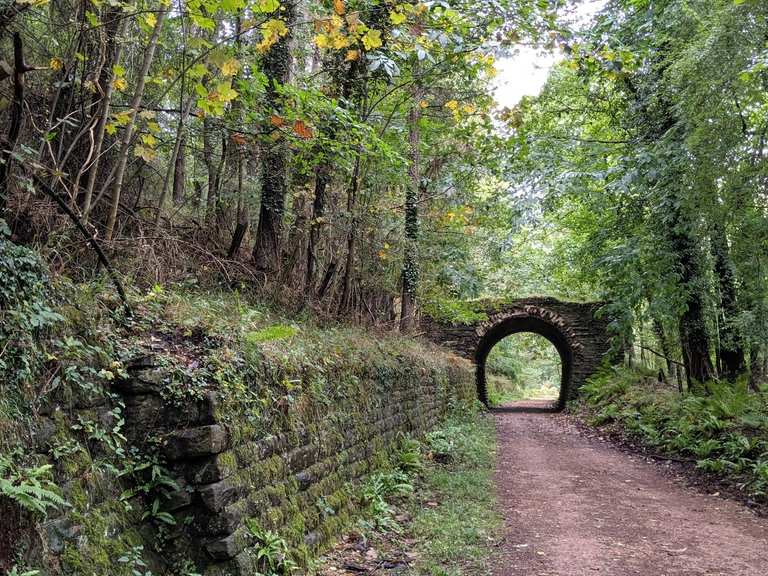 Family Cycle Trail loop — Forest of Dean Gravel | mountain bike ride ...