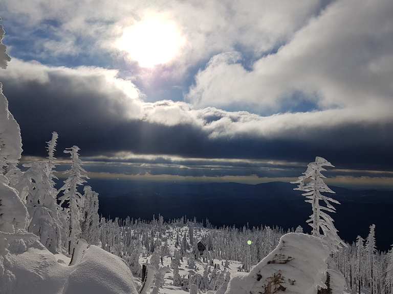 Großer Rachel Routes for Walking and Hiking | Komoot