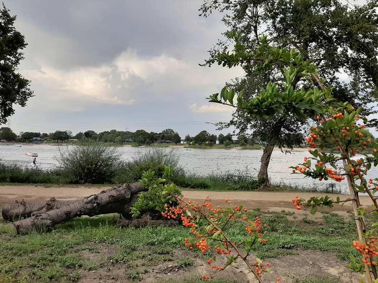 St. Leoner See - Cycle Routes and Map | Komoot