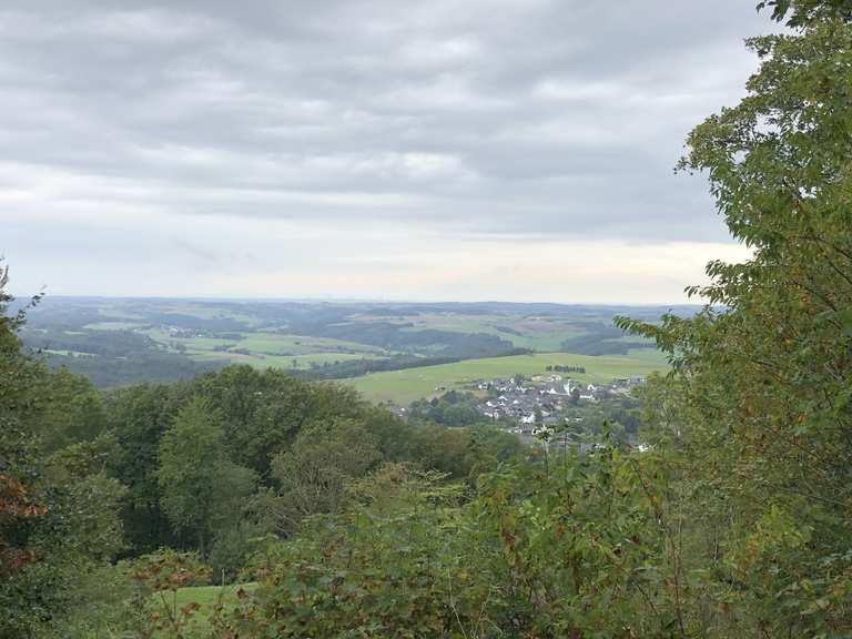 Eifelblick Michelsberg: Wanderungen und Rundwege | komoot