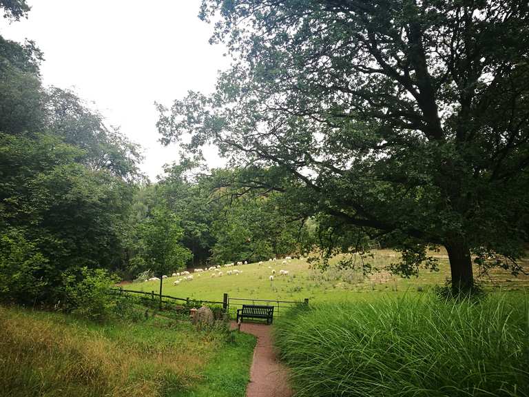 Michaelshof Sammatz/Wendland: Wanderungen und Rundwege | komoot