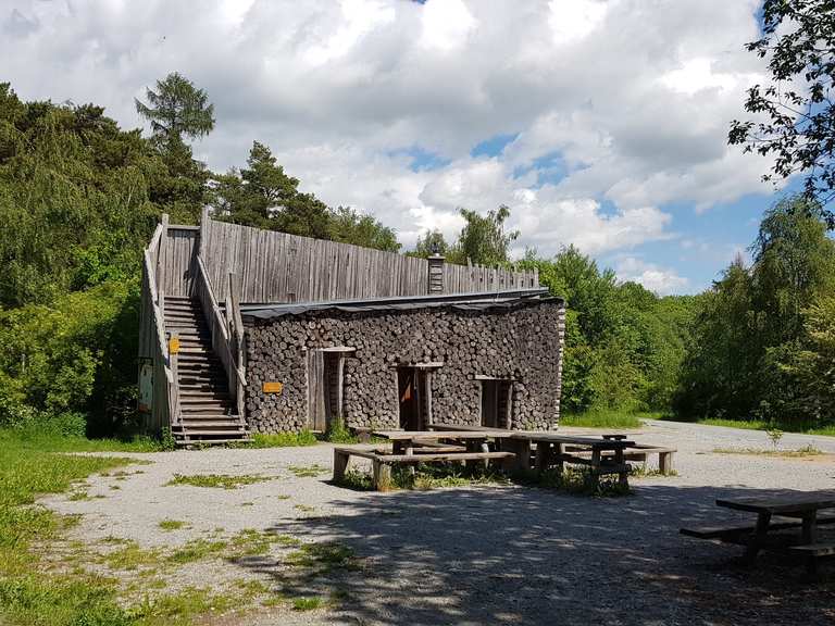 Passeio pelo Wildkatzen(kinder)wald | caminhada | Komoot