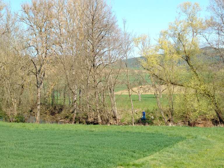 Radweg „Liebliches Taubertal – Der Klassiker“ bei Lindhelle Cycle ...