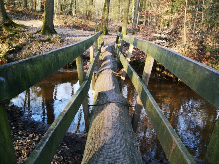 Boomstam brug wandelroutes en hikes | Komoot
