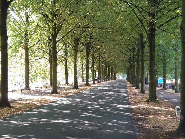 Promenade Cycle Routes and Map | Komoot