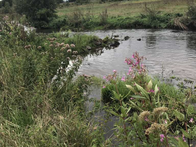 Schöner Verlauf der Erft: Wanderungen und Rundwege | komoot