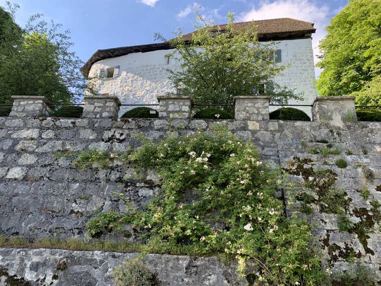 Schloss Brunegg (Privatbesitz) - Cycle Routes and Map | Komoot