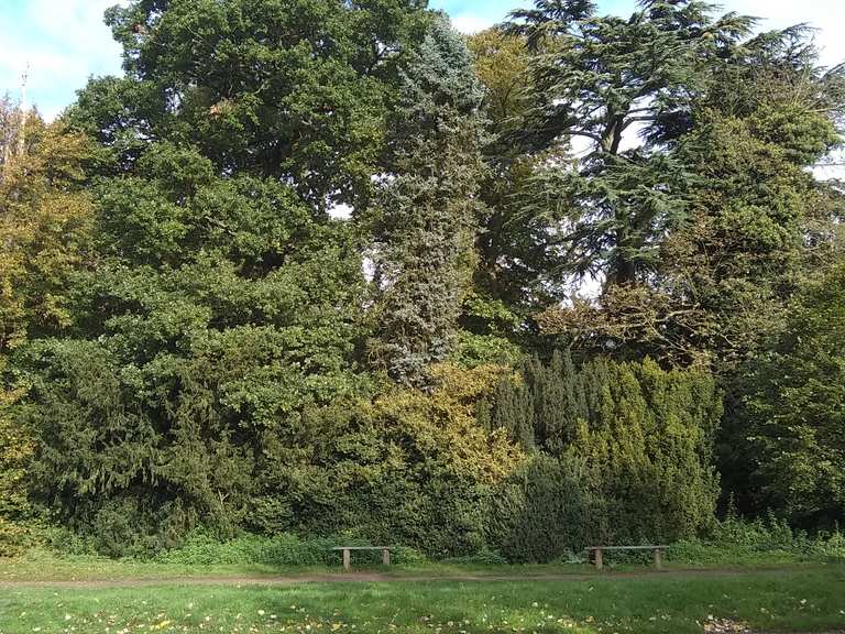 Clumber Park - Cycle Routes and Map | Komoot