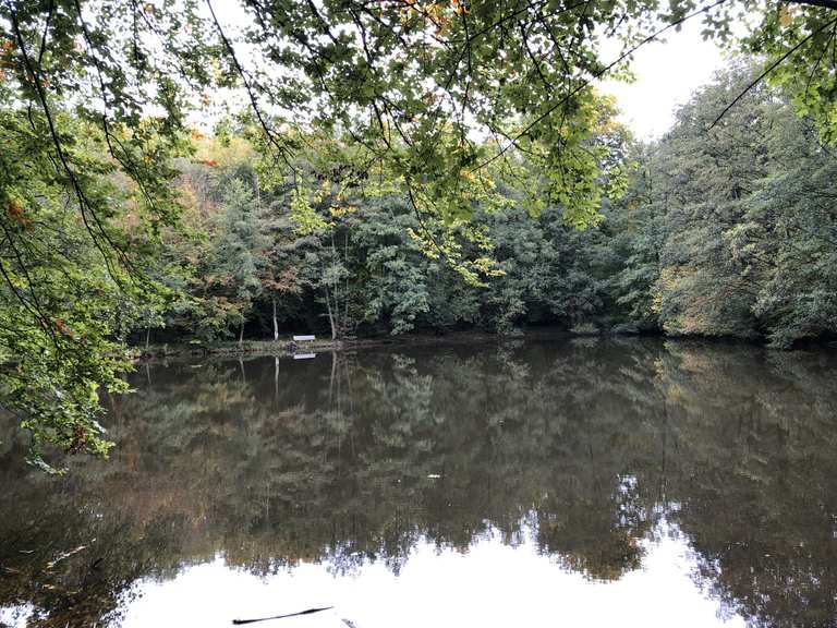 Steinbruch – Brettacher Waldsee Runde von Brettach | Wanderung | Komoot