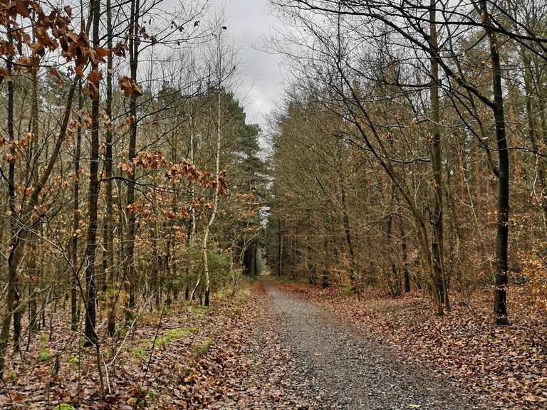 Dünenpfad Dudenhofen: Wanderungen und Rundwege | komoot