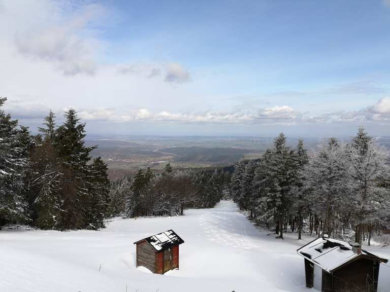 Großer Inselsberg: Wanderungen und Rundwege | komoot