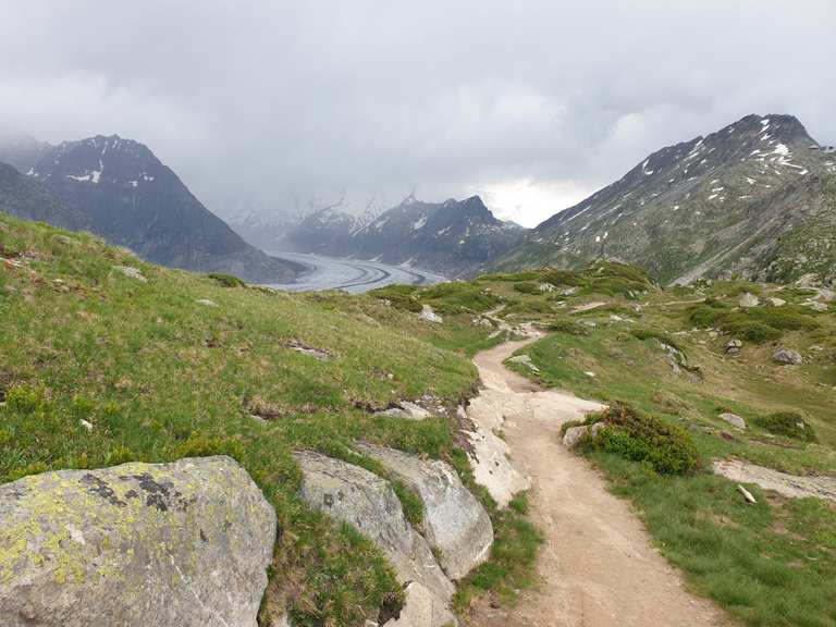 Bettmeralp Wanderung Moosfluh zum Aletsch Bettmersee | Wanderung | Komoot