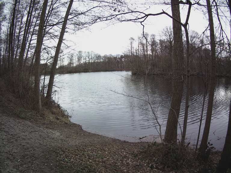Idyllischer See (Avenwedde): Radtouren und Radwege | komoot