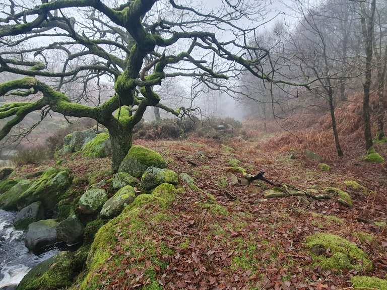 Ladybower, Derwent and Howden Reservoirs loop — Peak District National ...