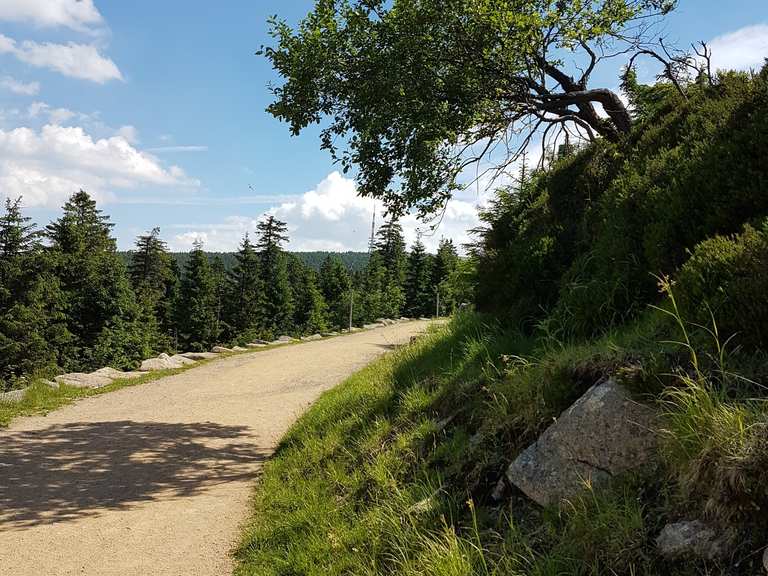 Goetheweg / Brockenaufstieg - Routes for Walking and Hiking | Komoot