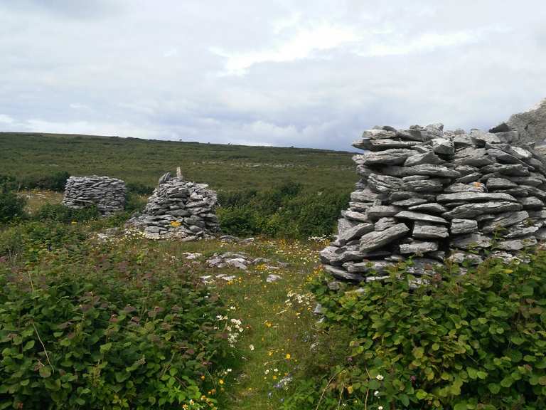 St. Fachtnas Heiliger Brunnen & Fulacht fias: Wanderungen und Rundwege ...
