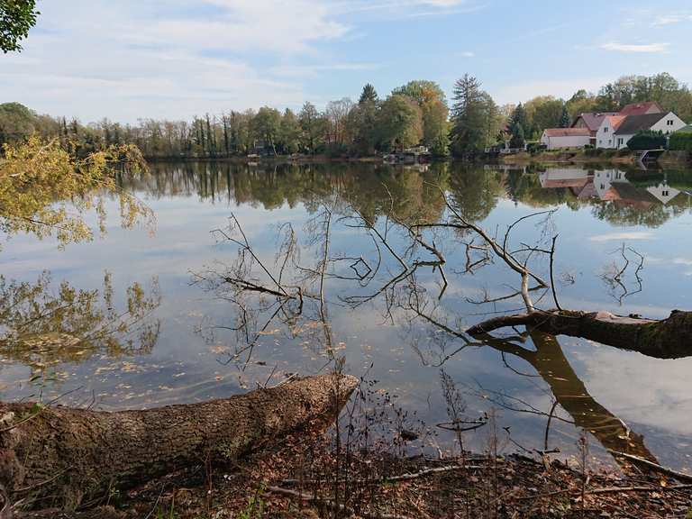 Kleiner Seddiner See Routes for Walking and Hiking | Komoot
