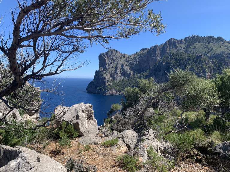 Kurze Wanderung von Cala Tuent zum Sa Toronia: Wanderungen und Rundwege ...