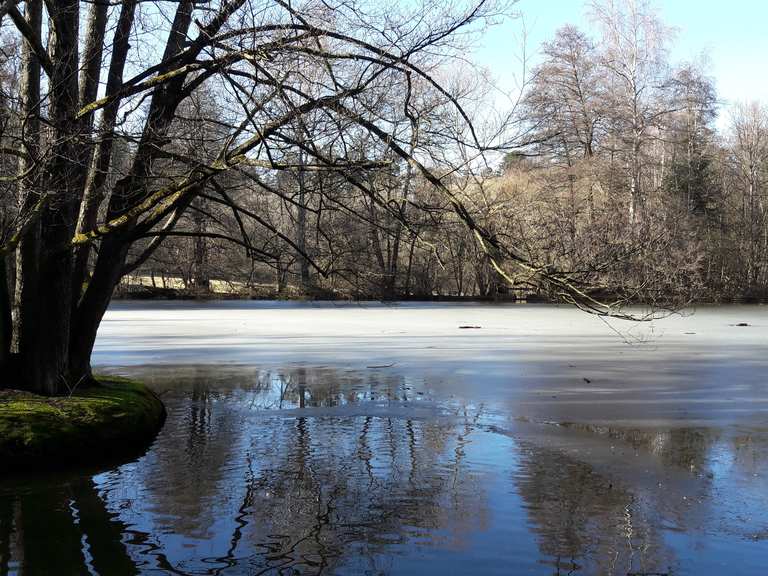 Herrmannsee Routes for Walking and Hiking | Komoot