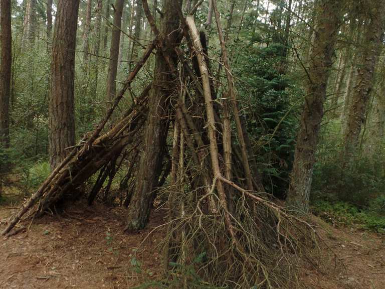 Cropton Cabins: Wanderungen und Rundwege | komoot