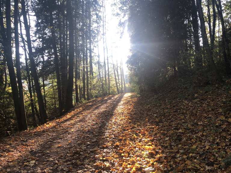 Aubinger Lohe: Mountainbike-Touren und -Trails | komoot