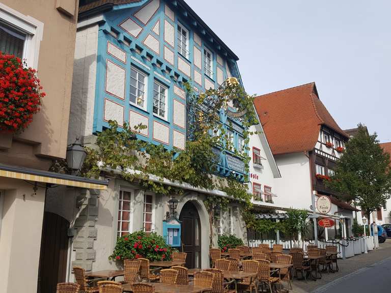 Hagnau am Bodensee: Wanderungen und Rundwege | komoot
