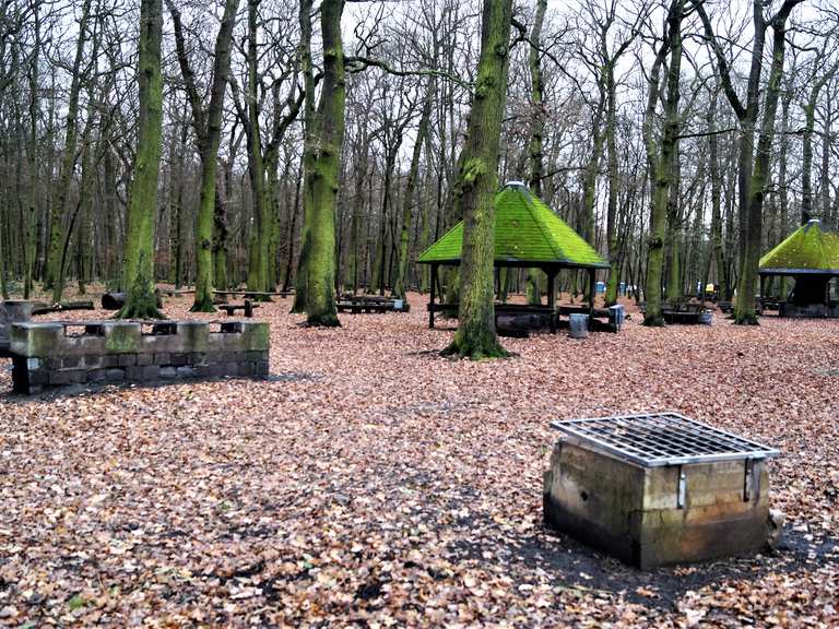 Waldspielplatz – Schwanheimer Wiesen loop from Schwanheim | hike | Komoot