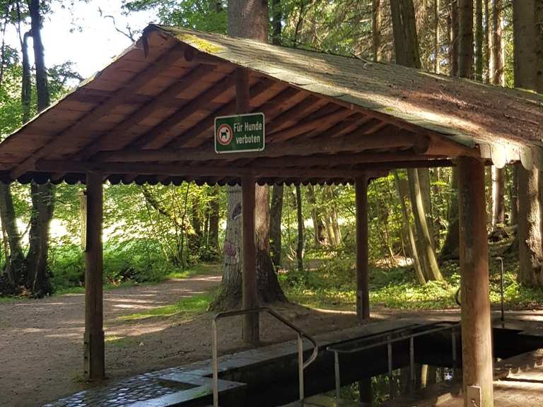 Kneipp-Anlage am Trimm-dich-Pfad Nassau: Mountainbike-Touren und ...