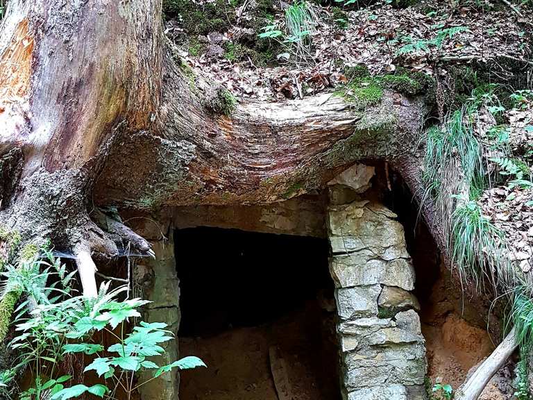 Frankendorf – Senftenberger Felsenkeller Loop from Frankendorf | hike ...