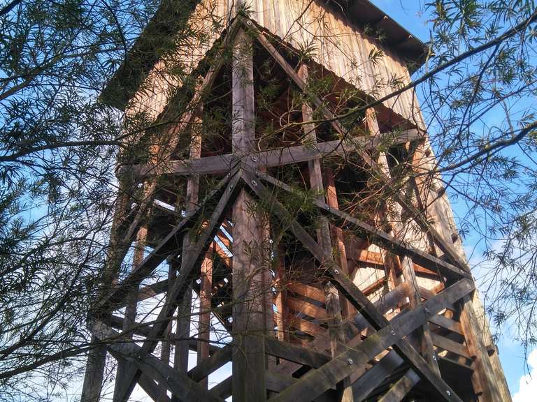 Aussichtsturm Ilkerbruch Routes for Walking and Hiking | Komoot