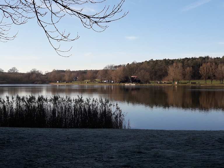 Strandhaus Grashof am Rothsee Routes for Walking and Hiking | Komoot