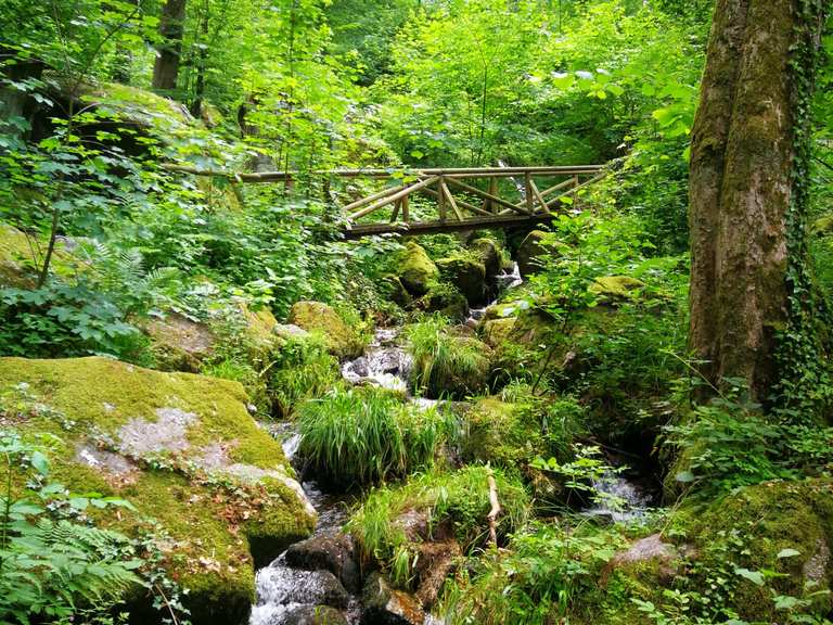 Gaishölle – Blick zum Rheingraben Runde von Sasbachwalden | Wanderung ...