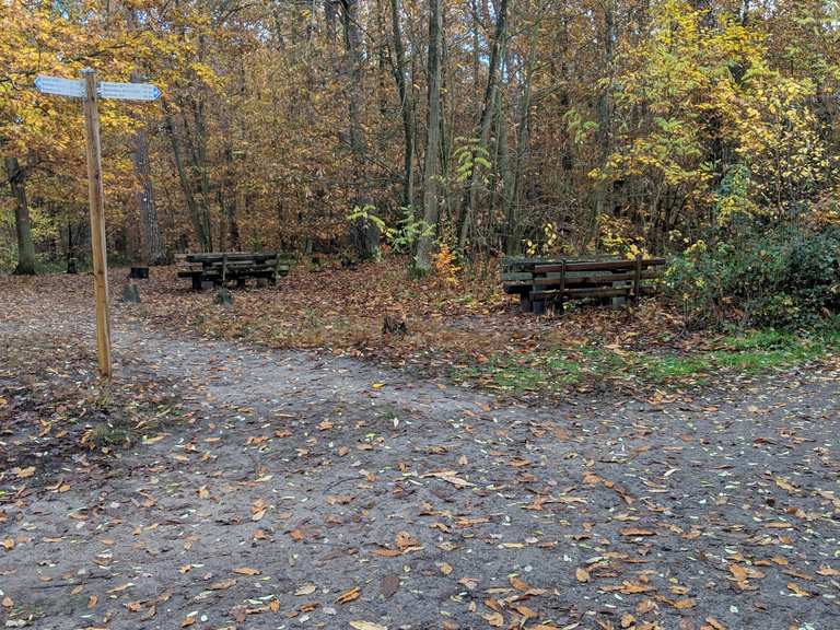 Am Schlagbaum (288 m ü. NHN): Wanderungen und Rundwege | komoot