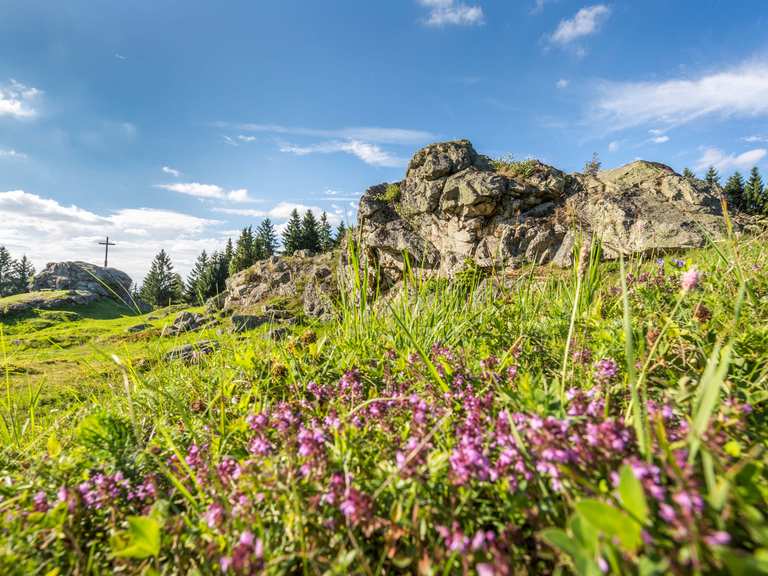 Burgruine Wildstein: Wanderungen und Rundwege | komoot