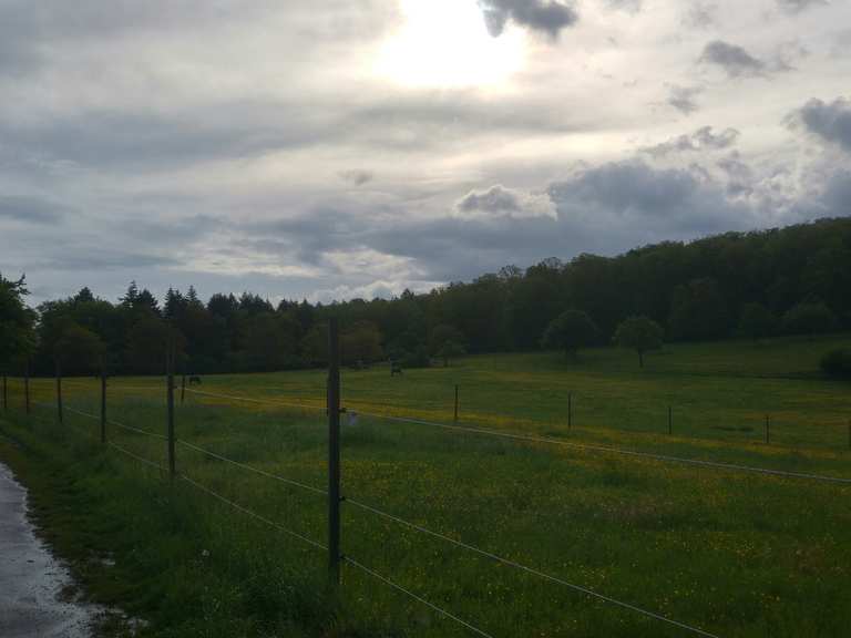 Weinberghütte Ketten-Ellmendingen - Mountain Bike Trails & Tracks | Komoot