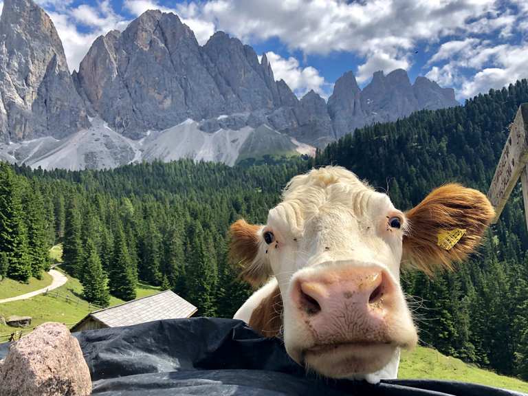 Dusler Hütte / Alm Routes for Walking and Hiking | Komoot
