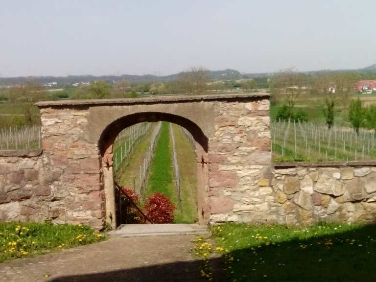 Bergkirche Nimburg: Wanderungen und Rundwege | komoot