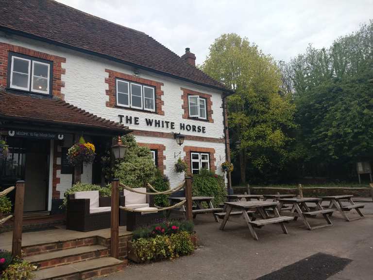 The Greensand Way, Holloways Heath & Hascombe loop from Hydon's Ball ...