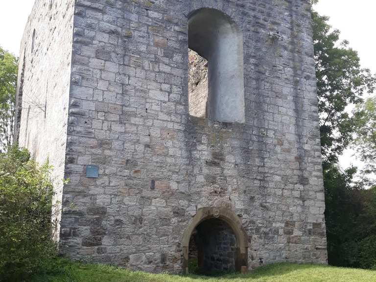 Burgruine Helfenberg: Wanderungen und Rundwege | komoot