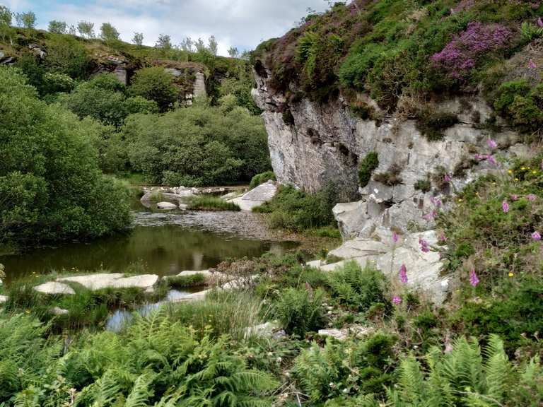 Haytor Quarry Pond with Water Lilies Routes for Walking and Hiking | Komoot