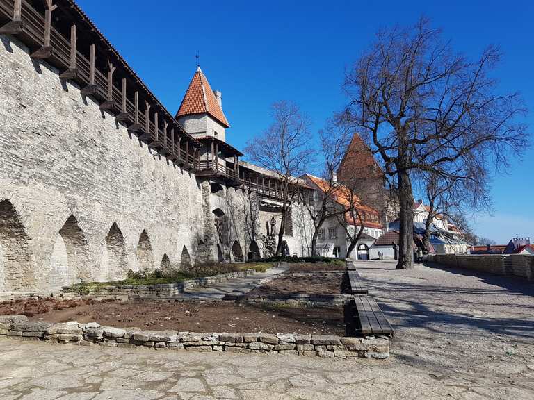 Taani kuninga aed (Park): Wanderungen und Rundwege | komoot