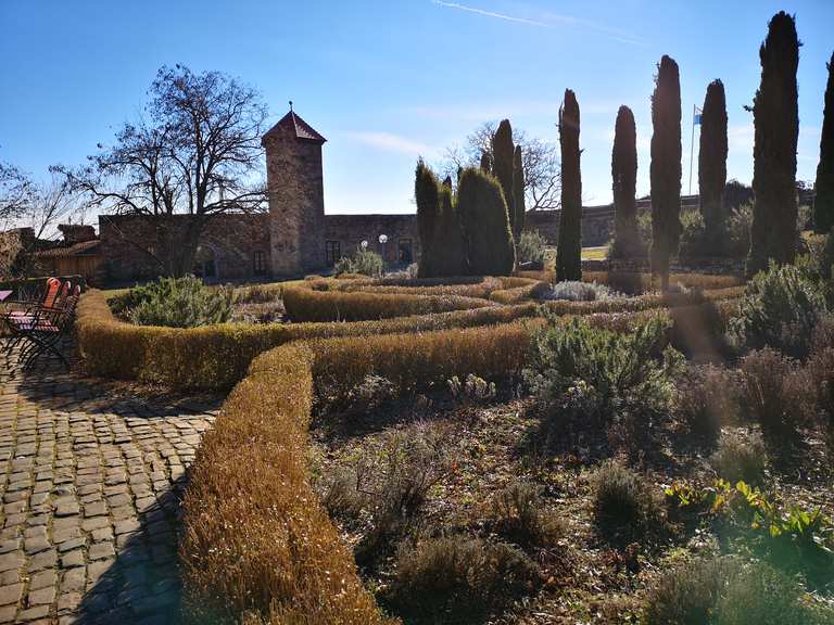 Burg Battenberg Routes for Walking and Hiking | Komoot